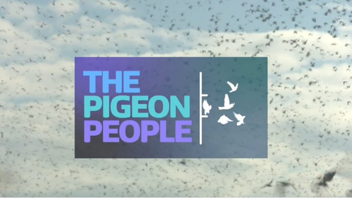 The Pigeon People - Episode 1 | UTV programmes