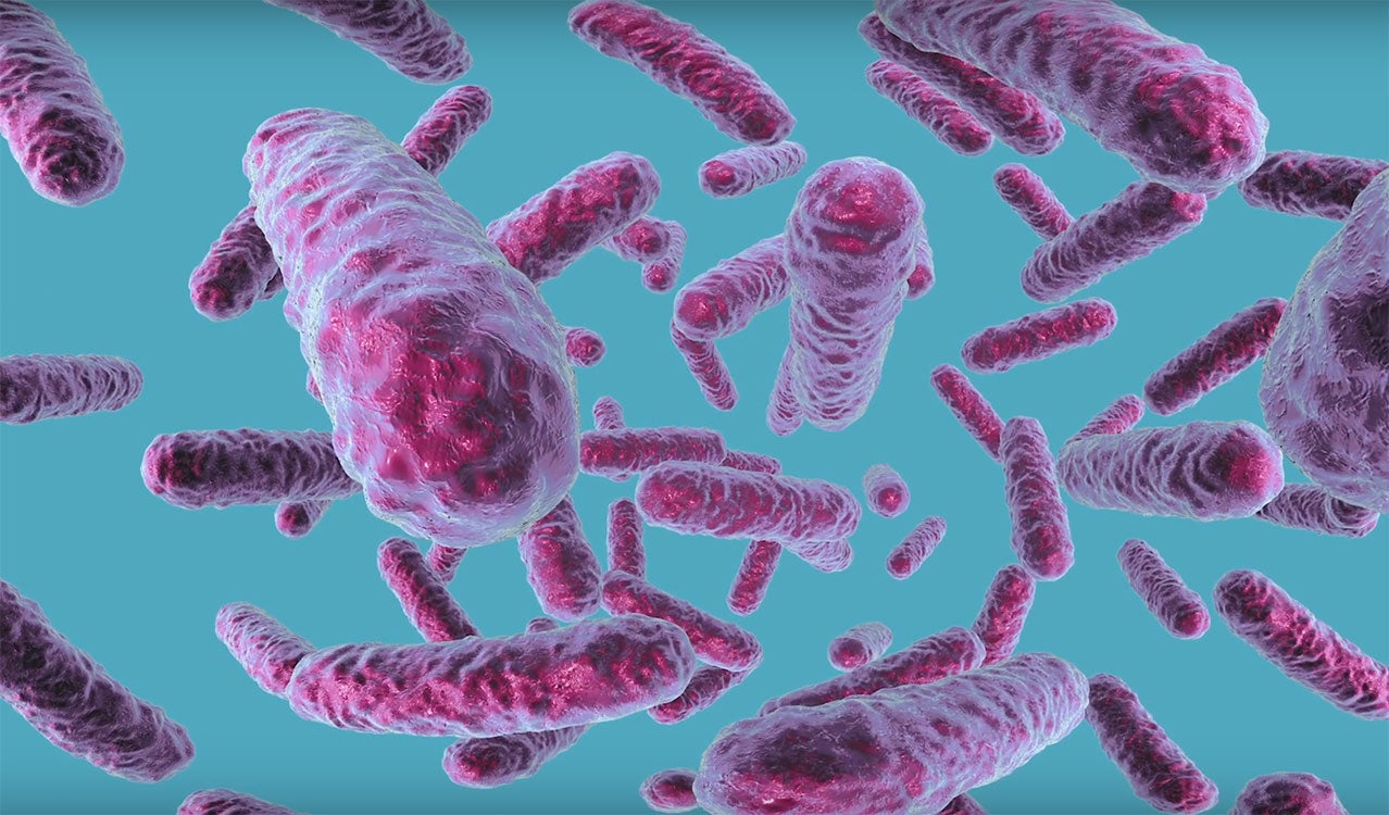 What is Carbapenem-Resistant Enterobacteriaceae (CRE)? | CloroxPro