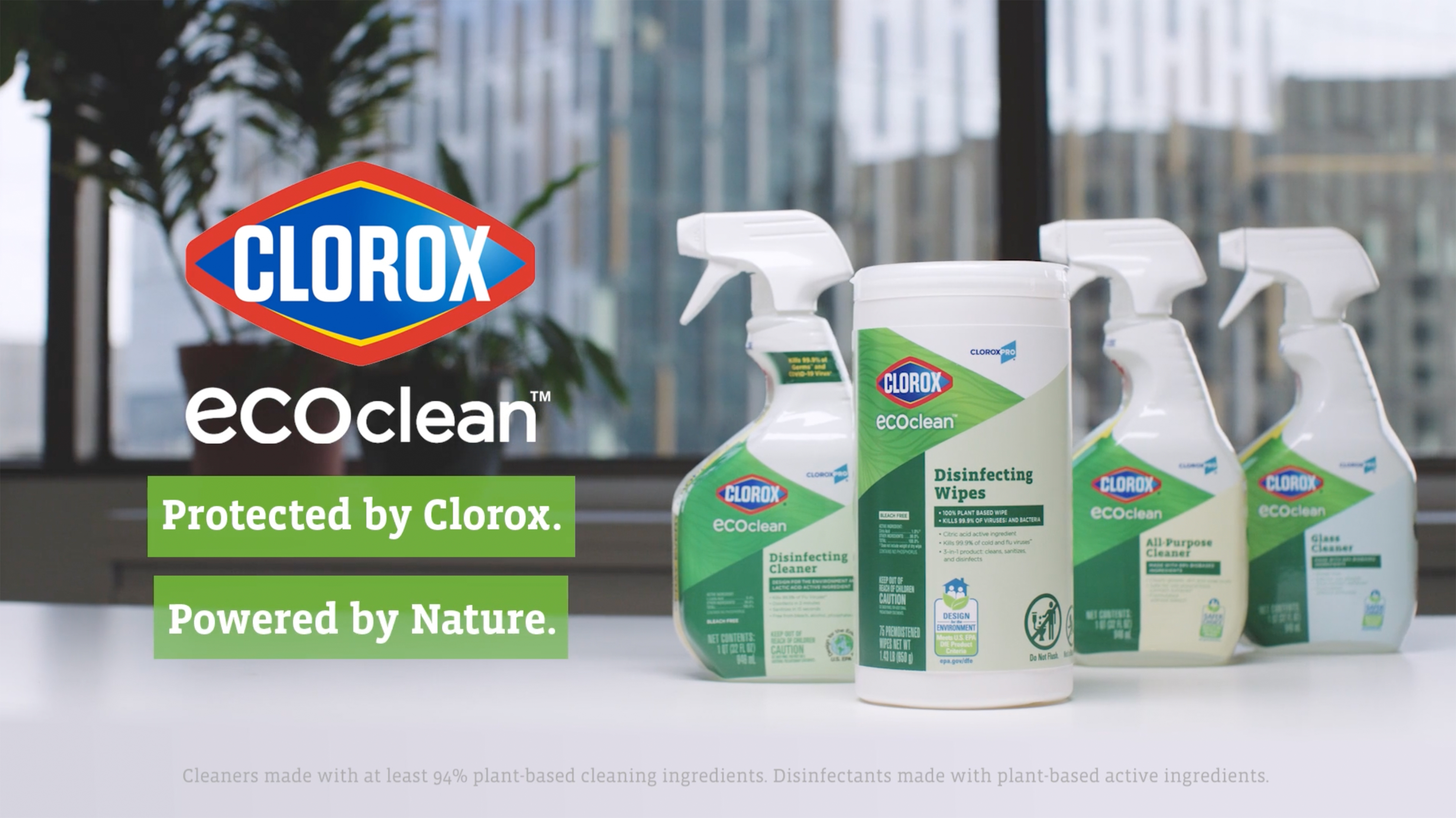Ecoclean Logo