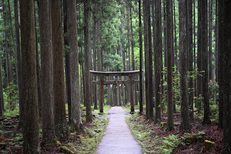 【2025最新版】京都の最強パワースポット17選！運気が上がるおすすめスポット、願いが叶う神社、金運アップに効 | TRAPOL[トラポル]