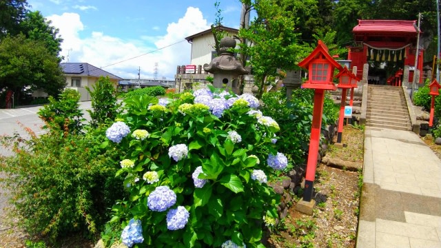 【栃木県】2025・巳年に行きたい最強パワースポット・神社17選！ | TRAPOLメディア | TRAPOL[トラポル]