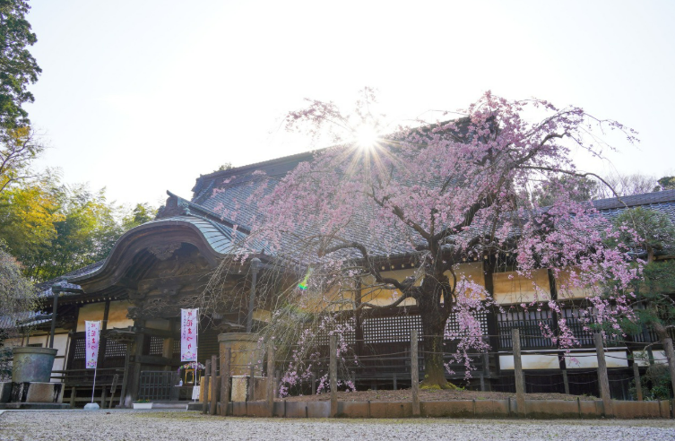 【2025最新】千葉県の最強パワースポット19選！恋愛運・金運・厄除け | TRAPOLメディア | TRAPOL[トラポル]