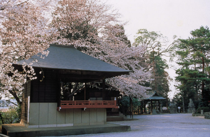 【2025年最新】埼玉のパワースポット18選！運気アップに！恋愛運・金運・厄除けにも！人生が変わる神社やパワー | TRAPOL[トラポル]