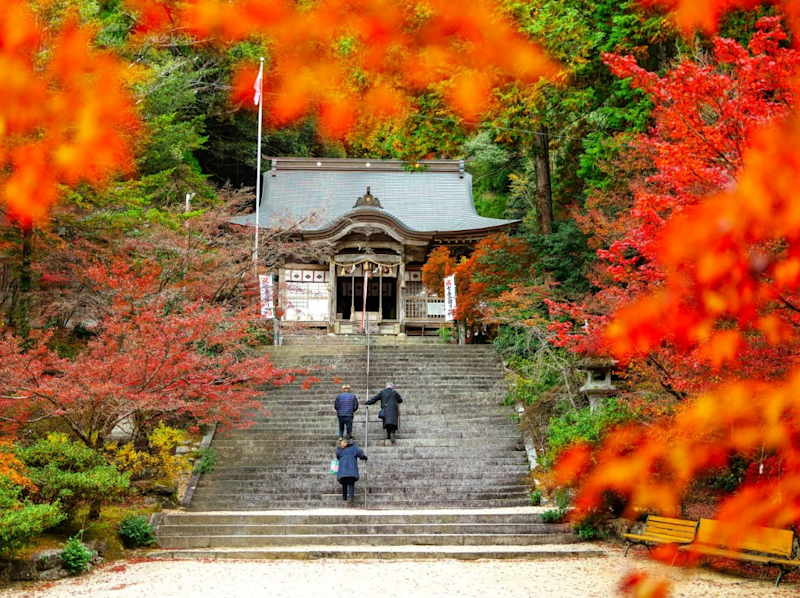 2025年に行きたい九州の開運パワースポット！神社・自然 | TRAPOLメディア | TRAPOL[トラポル]