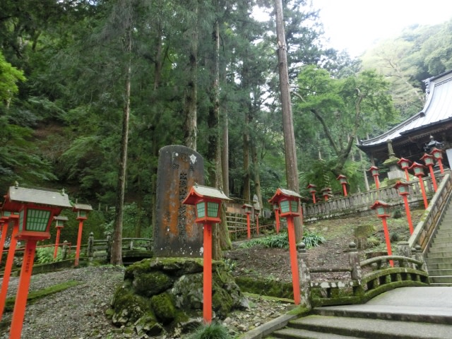 【栃木県】2025・巳年に行きたい最強パワースポット・神社17選！ | TRAPOLメディア | TRAPOL[トラポル]