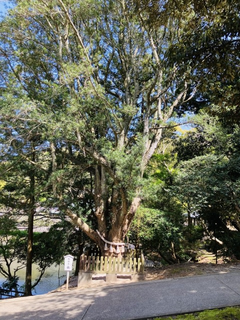 【2025最新】千葉県の最強パワースポット19選！恋愛運・金運・厄除け | TRAPOLメディア | TRAPOL[トラポル]