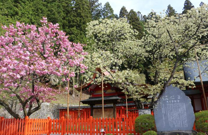 【2025最新】山梨のパワースポット16選！定番の神社から穴場まで | TRAPOLメディア | TRAPOL[トラポル]