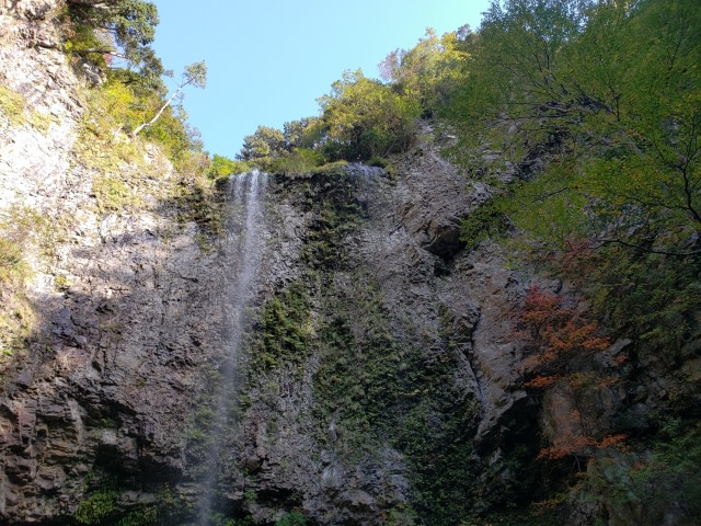 【2025最新】2025年に行くべき島根県の最強パワースポット巡り！エリア別おすすめスポット23選！人込みを避 | TRAPOL[トラポル]
