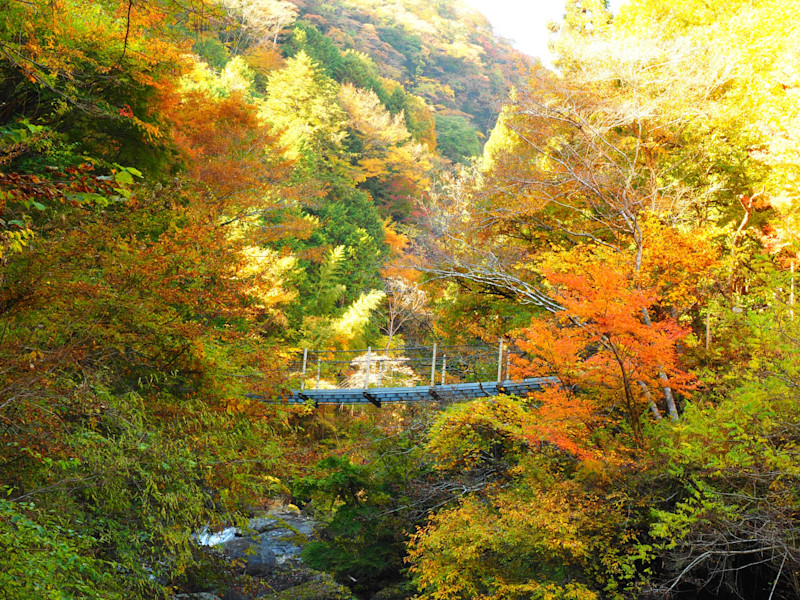 【2025年最新】山梨の紅葉スポット14選！おすすめスポット・名所・穴場までご紹介！デートにもおすすめ！ | TRAPOL[トラポル]