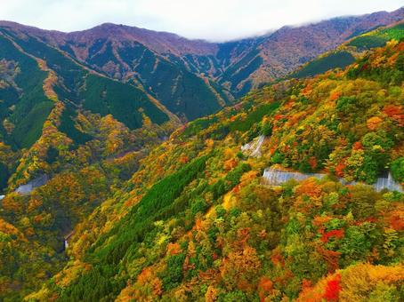 【2025年最新】関西の紅葉スポット19選！おすすめスポット・名所・穴場までご紹介！デートにもおすすめ！ | TRAPOL[トラポル]