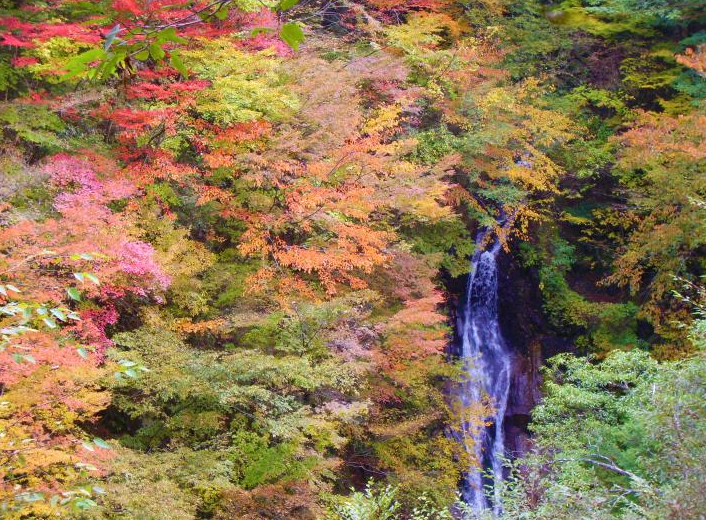 【2025最新】山梨のパワースポット16選！定番の神社から穴場まで | TRAPOLメディア | TRAPOL[トラポル]