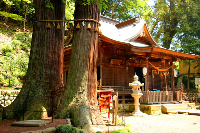 【2025】静岡県の最強パワースポット19選！穴場の神社仏閣から自然スポットまで | TRAPOLメディア | TRAPOL[トラポル]