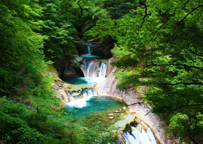 【2025最新】山梨のパワースポット16選！定番の神社から穴場まで | TRAPOLメディア | TRAPOL[トラポル]