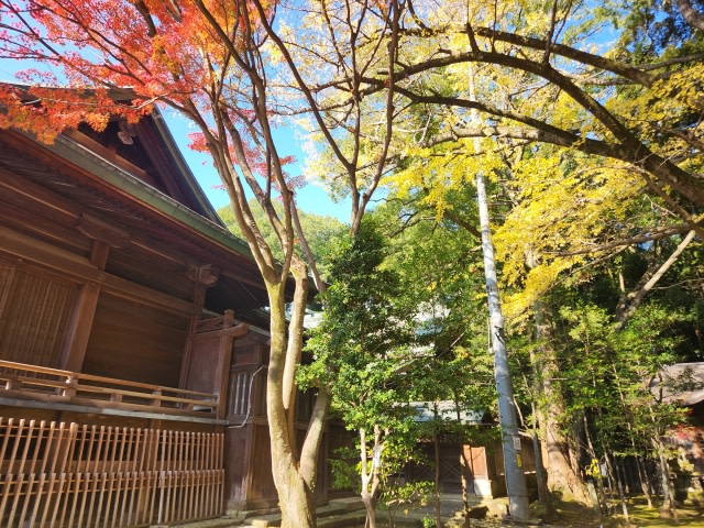 【栃木県】2025・巳年に行きたい最強パワースポット・神社17選！ | TRAPOLメディア | TRAPOL[トラポル]