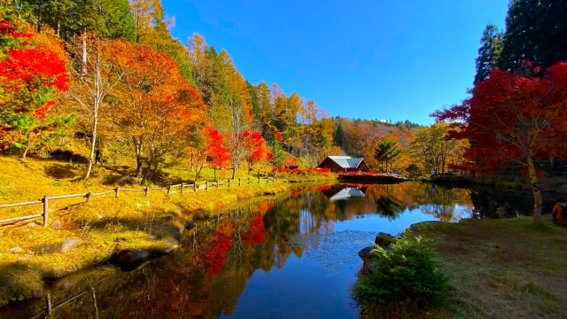 【2025年最新】岐阜の紅葉おすすめ名所・穴場スポット12選！おすすめスポット・名所・穴場までご紹介！デートに | TRAPOL[トラポル]