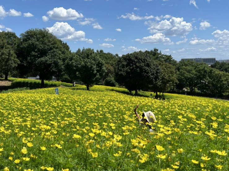 【2025最新版 】自然に癒されてリフレッシュ！関東のおすすめ日帰り旅行スポット | TRAPOLメディア | TRAPOL[トラポル]
