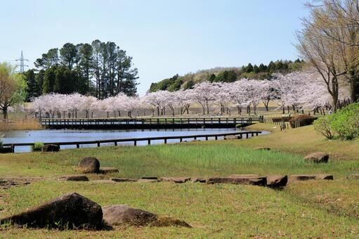 【大阪】カップル必見！2025年に行くべきおすすめデートスポット27選！定番から穴場までご紹介！忘れられない特 | TRAPOL[トラポル]