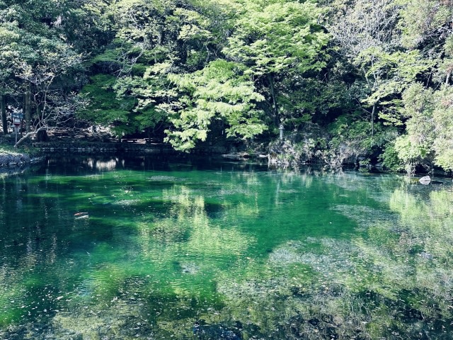 【栃木県】2025・巳年に行きたい最強パワースポット・神社17選！ | TRAPOLメディア | TRAPOL[トラポル]