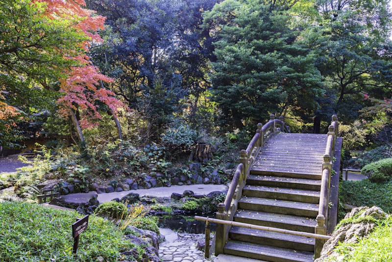 【2025】東京都内の最強パワースポット・神社おすすめ26選！人生変わる人気開運スポット | TRAPOLメデ | TRAPOL[トラポル]