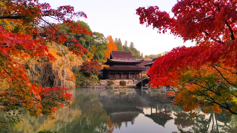 【2025年最新】岐阜の紅葉おすすめ名所・穴場スポット12選！おすすめスポット・名所・穴場までご紹介！デートに | TRAPOL[トラポル]