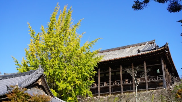 【2025年最新】広島県の最強・願いが叶うパワースポット19選！定番の神社から穴場・自然スポットまで！人込みを | TRAPOL[トラポル]