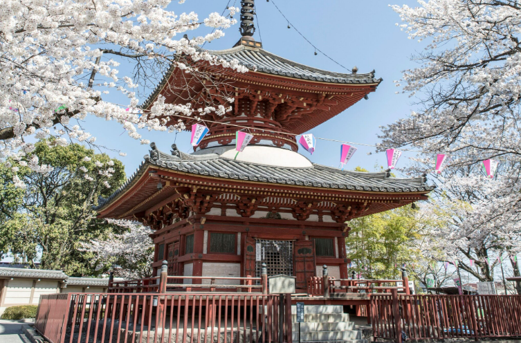 【2025年最新】埼玉のパワースポット18選！運気アップに！恋愛運・金運・厄除けにも！人生が変わる神社やパワー | TRAPOL[トラポル]