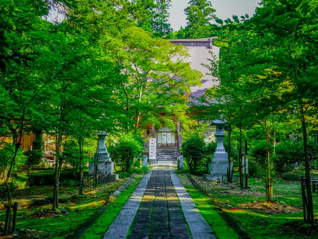 【2025年最新】新潟県の最強パワースポット13選！運気アップに！恋愛運・金運・厄除けにも！人生が変わる神社や | TRAPOL[トラポル]