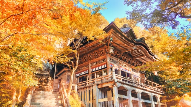 【2025最新】2025年に行くべき石川県の最強パワースポット16選！恋愛成就・金運・開運・勝負運別おすすめス | TRAPOL[トラポル]