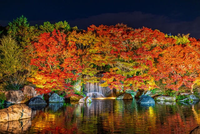 【2025年最新】関西の紅葉スポット19選！おすすめスポット・名所・穴場までご紹介！デートにもおすすめ！ | TRAPOL[トラポル]