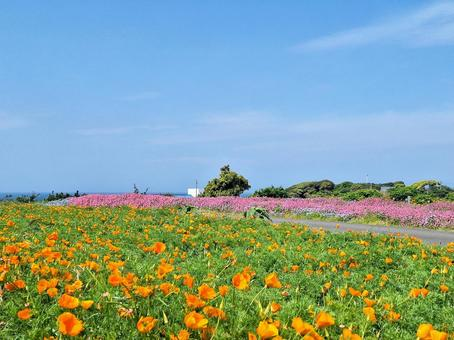 【2025年最新版】神奈川・日帰りドライブスポット17選！おすすめ・定番・絶景穴場・デートスポットをご紹介！ | TRAPOL[トラポル]