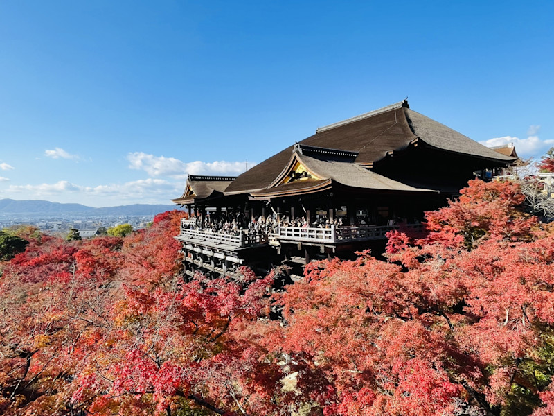 【2025年最新】カップルにおすすめのデートスポット27選！定番から穴場までご紹介！ | TRAPOLメディア | TRAPOL[トラポル]