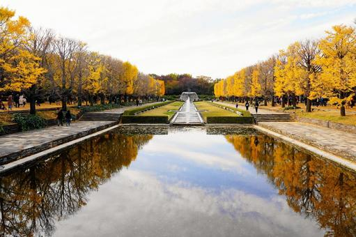 【2025年最新】東京の紅葉おすすめ名所・穴場スポット18選！おすすめスポット・名所・穴場までご紹介！デートに | TRAPOL[トラポル]