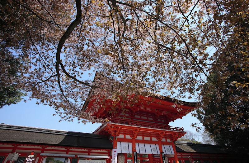 【2025最新版】京都の最強パワースポット17選！運気が上がるおすすめスポット、願いが叶う神社、金運アップに効 | TRAPOL[トラポル]