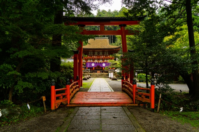 【2025最新】和歌山の最強パワースポット17選！運気が上がるおすすめの神社から穴場スポットまで | TRAP | TRAPOL[トラポル]