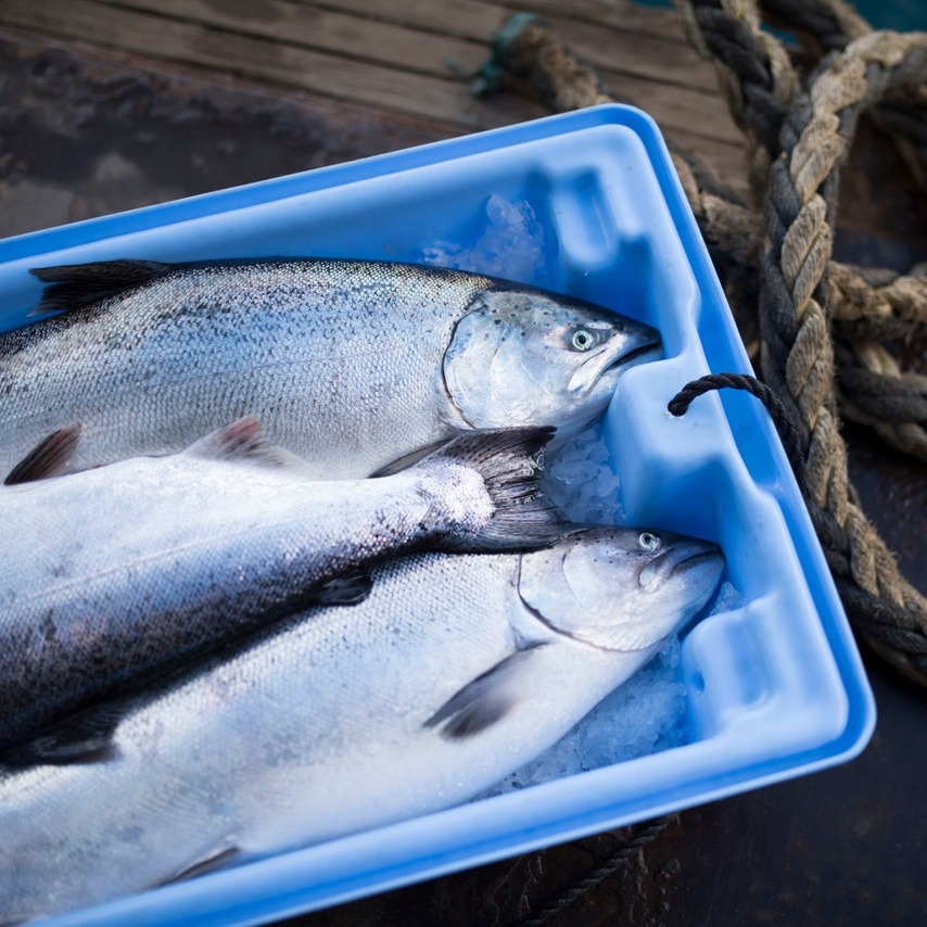 Made With Care | NZTE