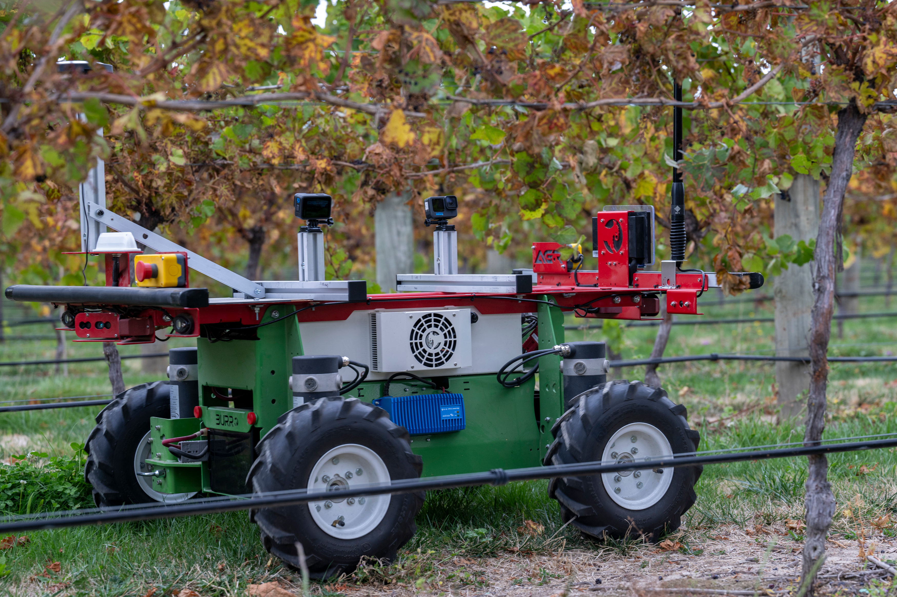 Biosecurity & crop protection · Plant & Food Research