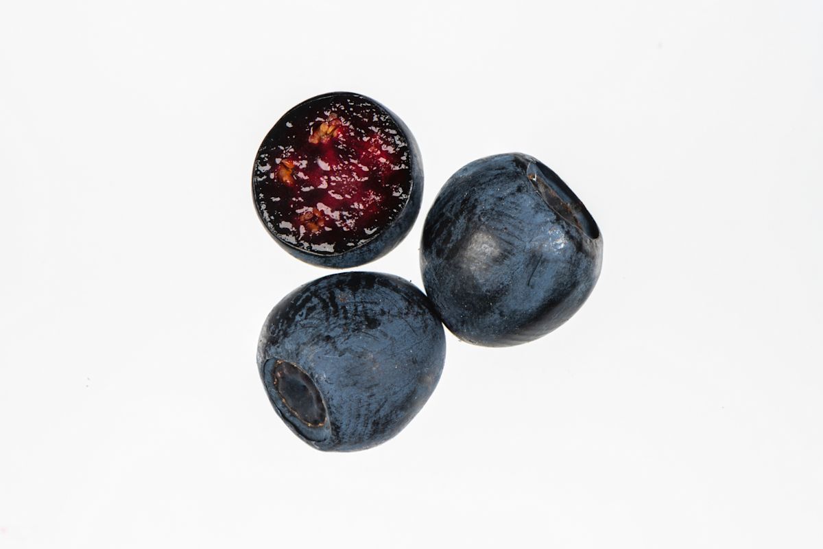 Berryfruit · Plant & Food Research