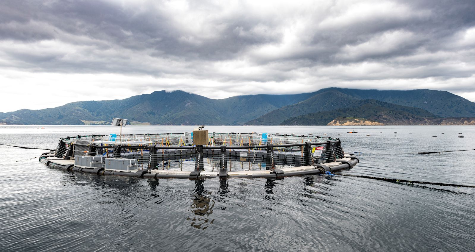 Open Ocean Aquaculture · Plant & Food Research