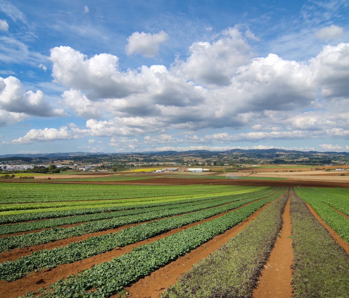 Soil, water & climate · Plant & Food Research