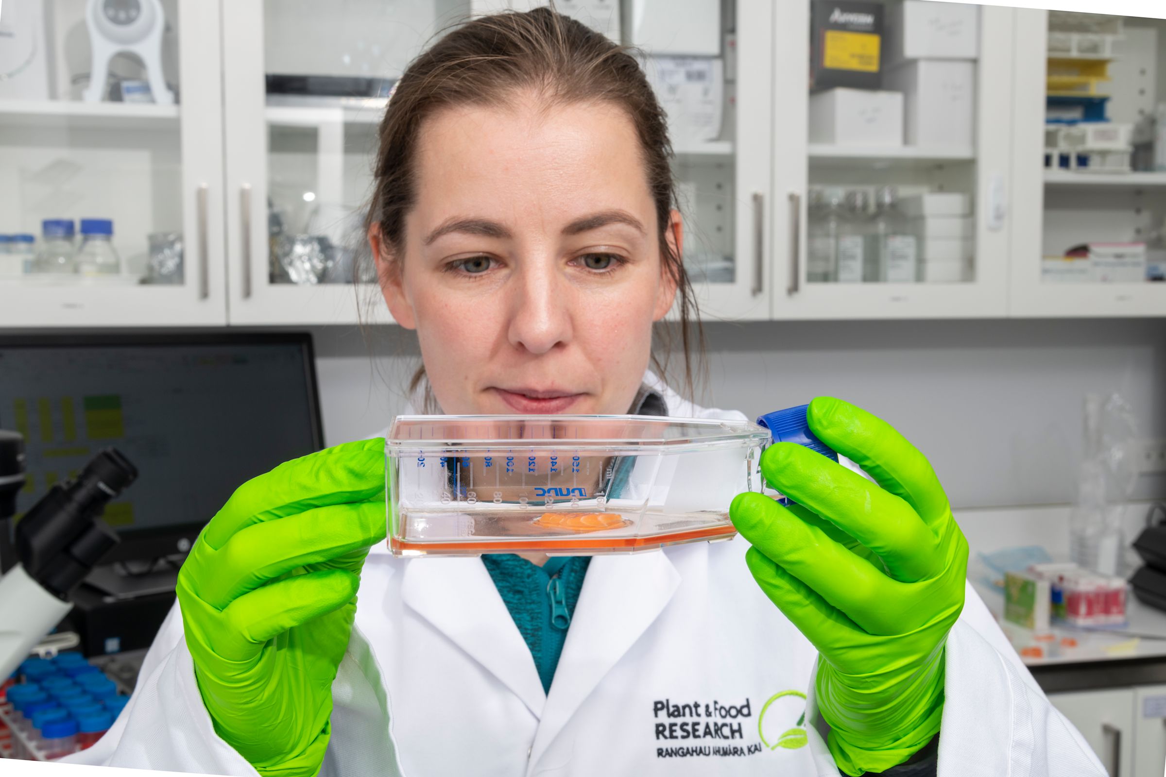 Dr Wei Hu · Plant & Food Research