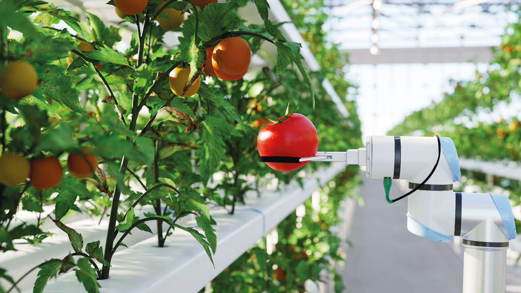 Smartening up food systems · Plant & Food Research