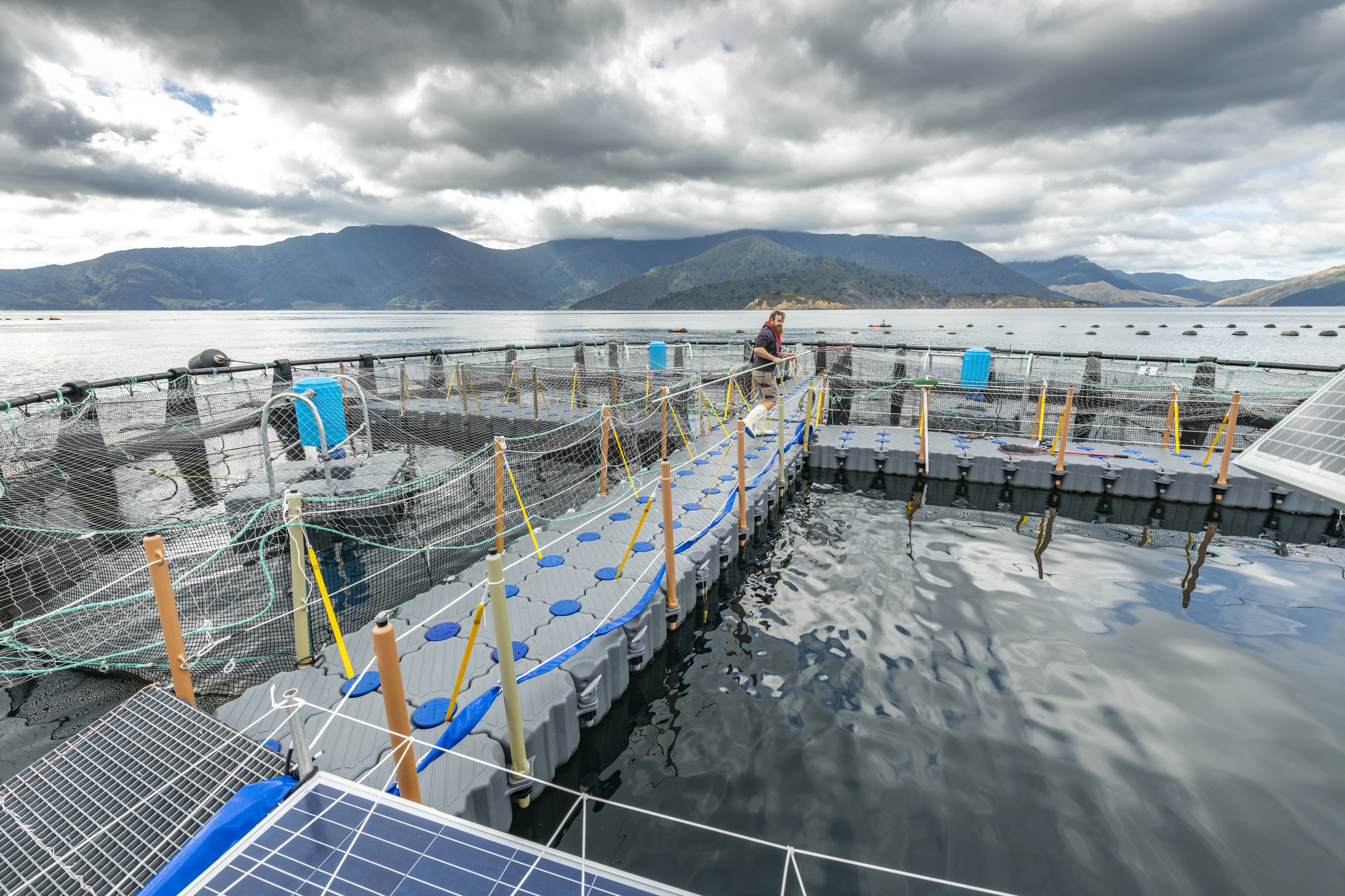 Open Ocean Aquaculture · Plant & Food Research