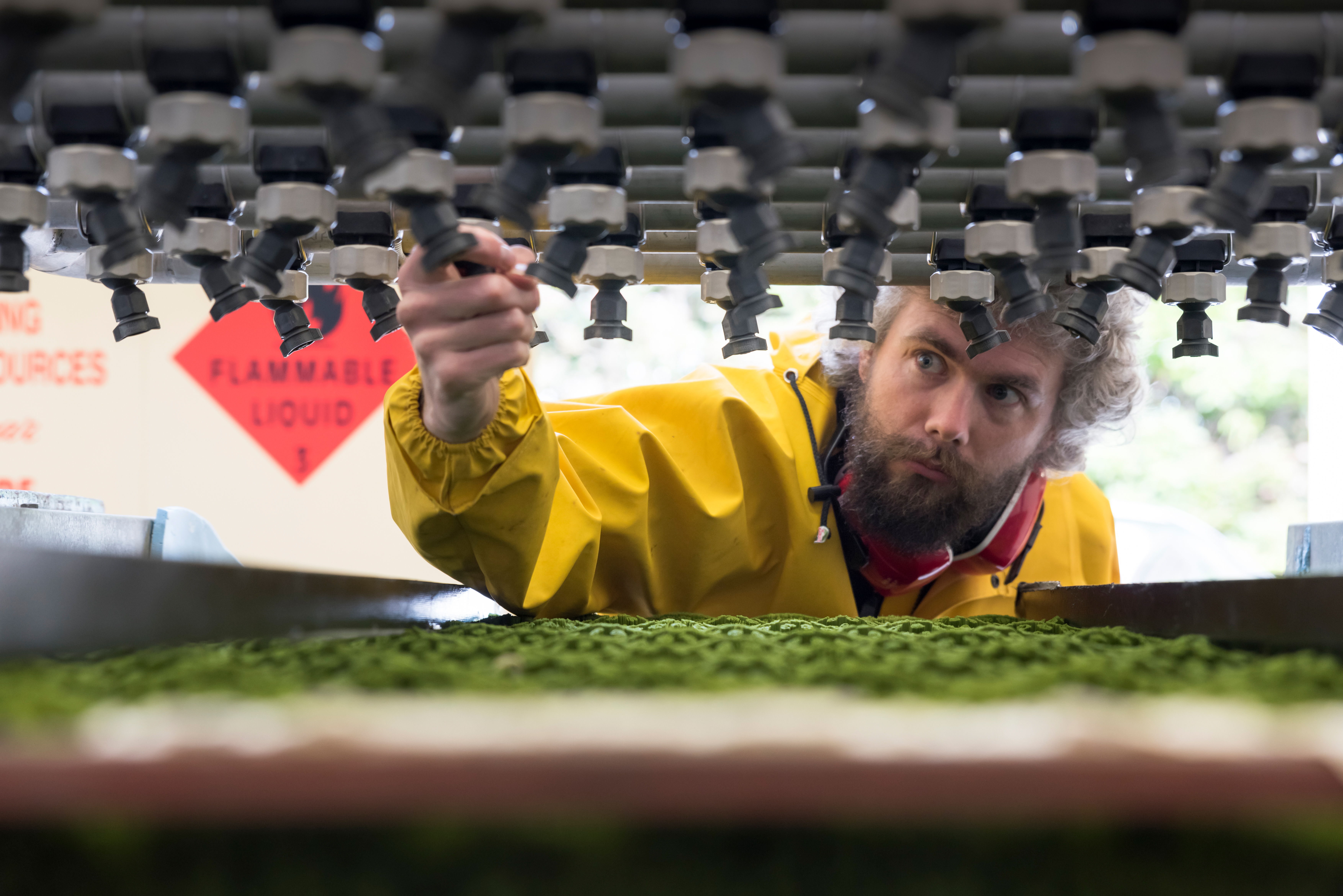 Pest free fruit and the weevil genius · Plant & Food Research