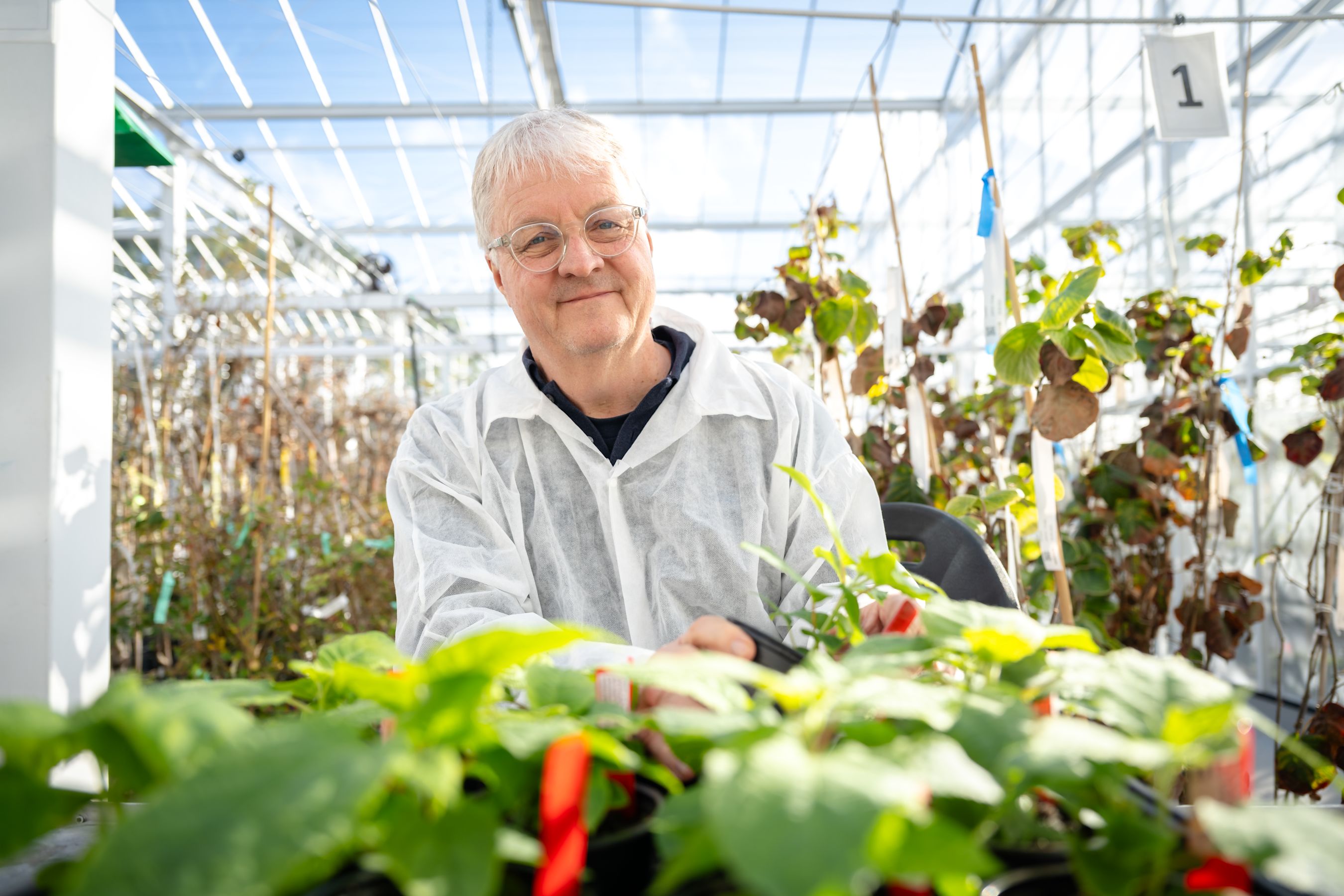 Plant molecular biologist awarded Hutton medal · Plant & Food Research