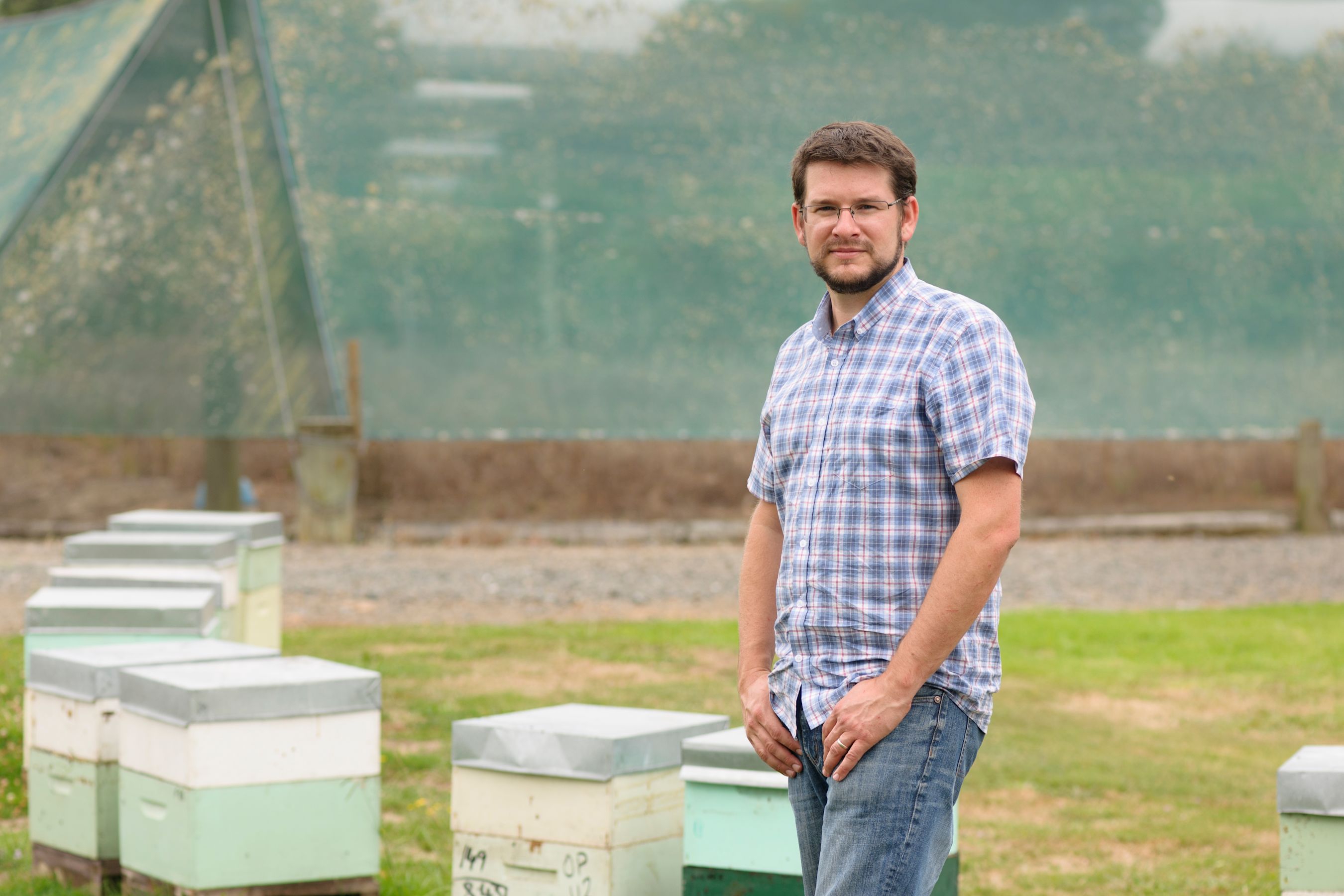 David Pattemore: native insects recognised for their role in food ...