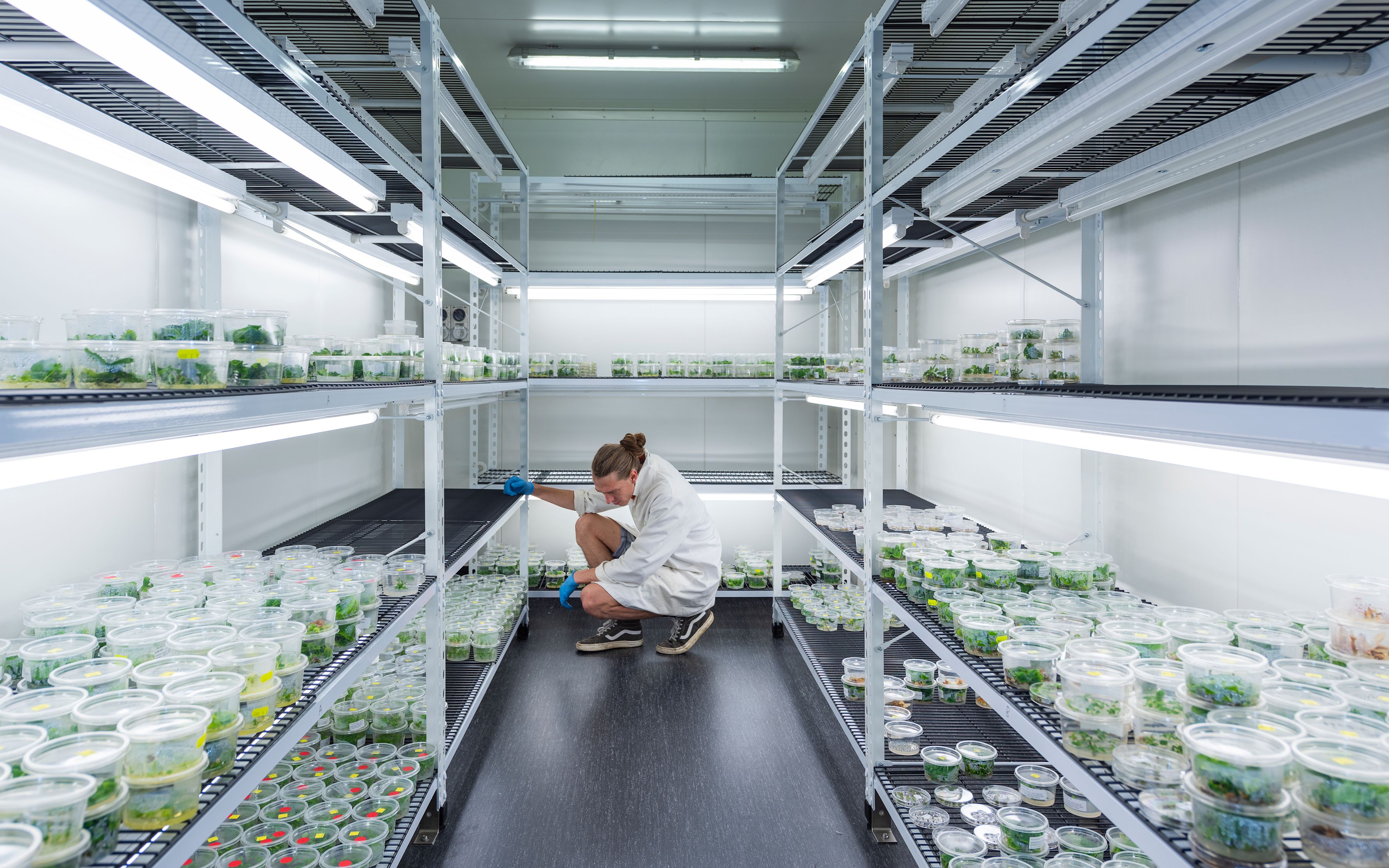 About us · Plant & Food Research