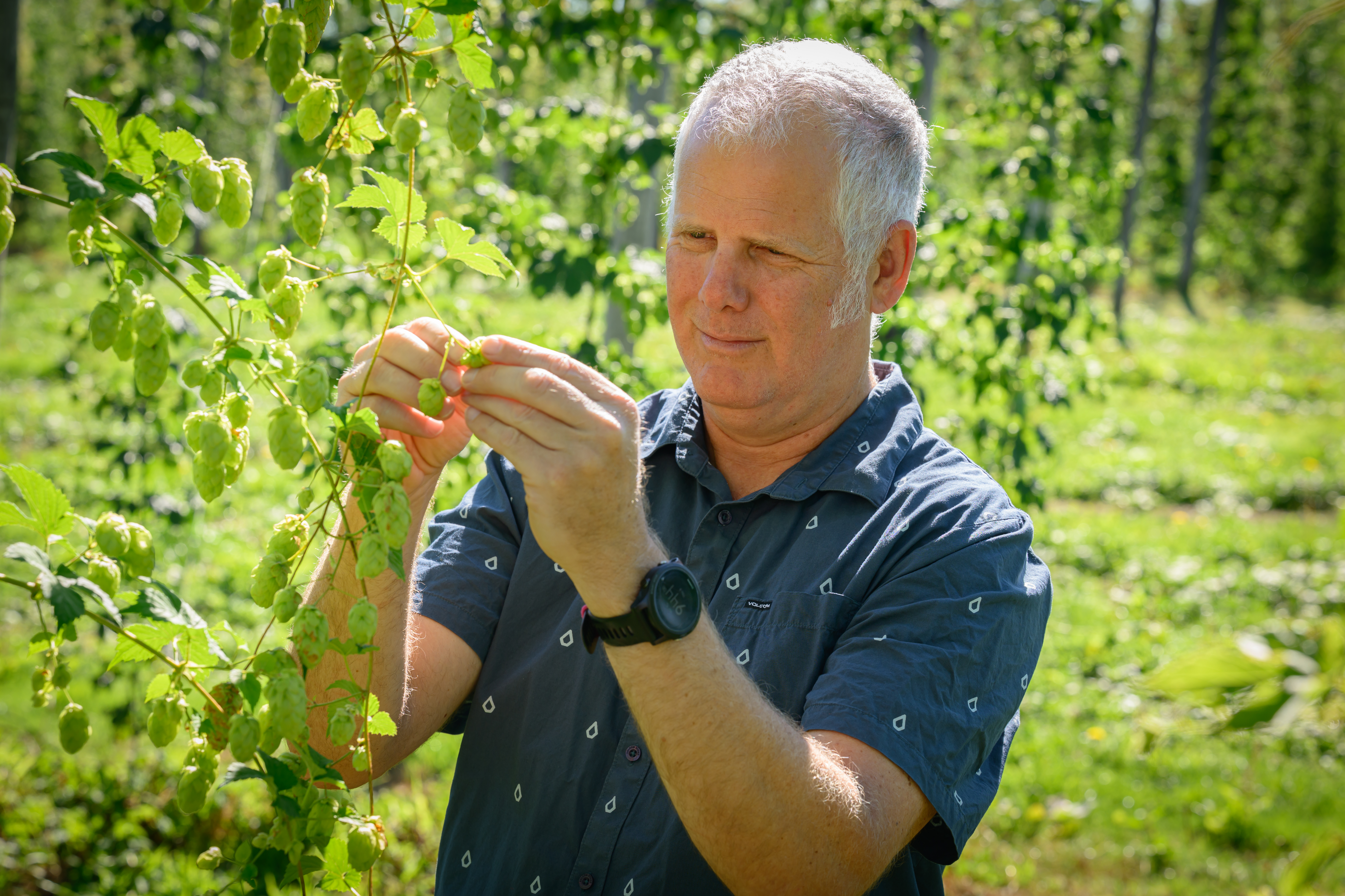 Kerry Templeton: For the love of hoppy beers · Plant & Food Research