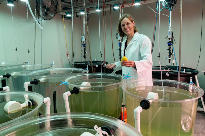 Fish breeding · Plant & Food Research