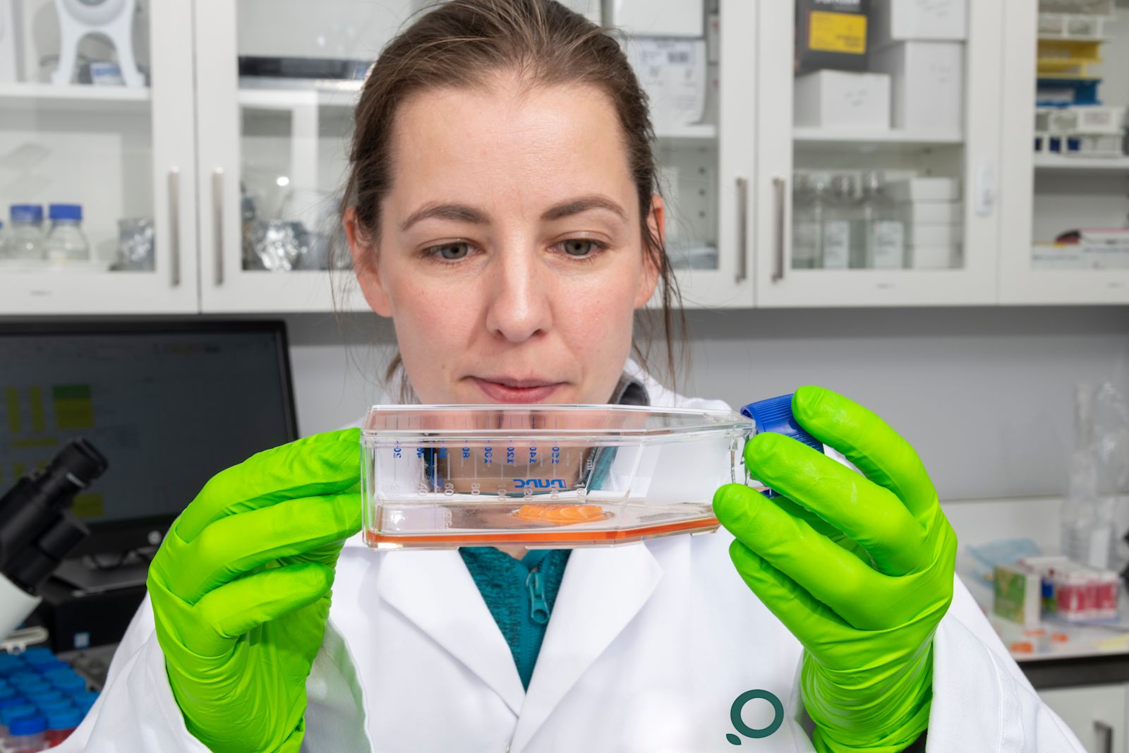 People & Careers · Plant & Food Research