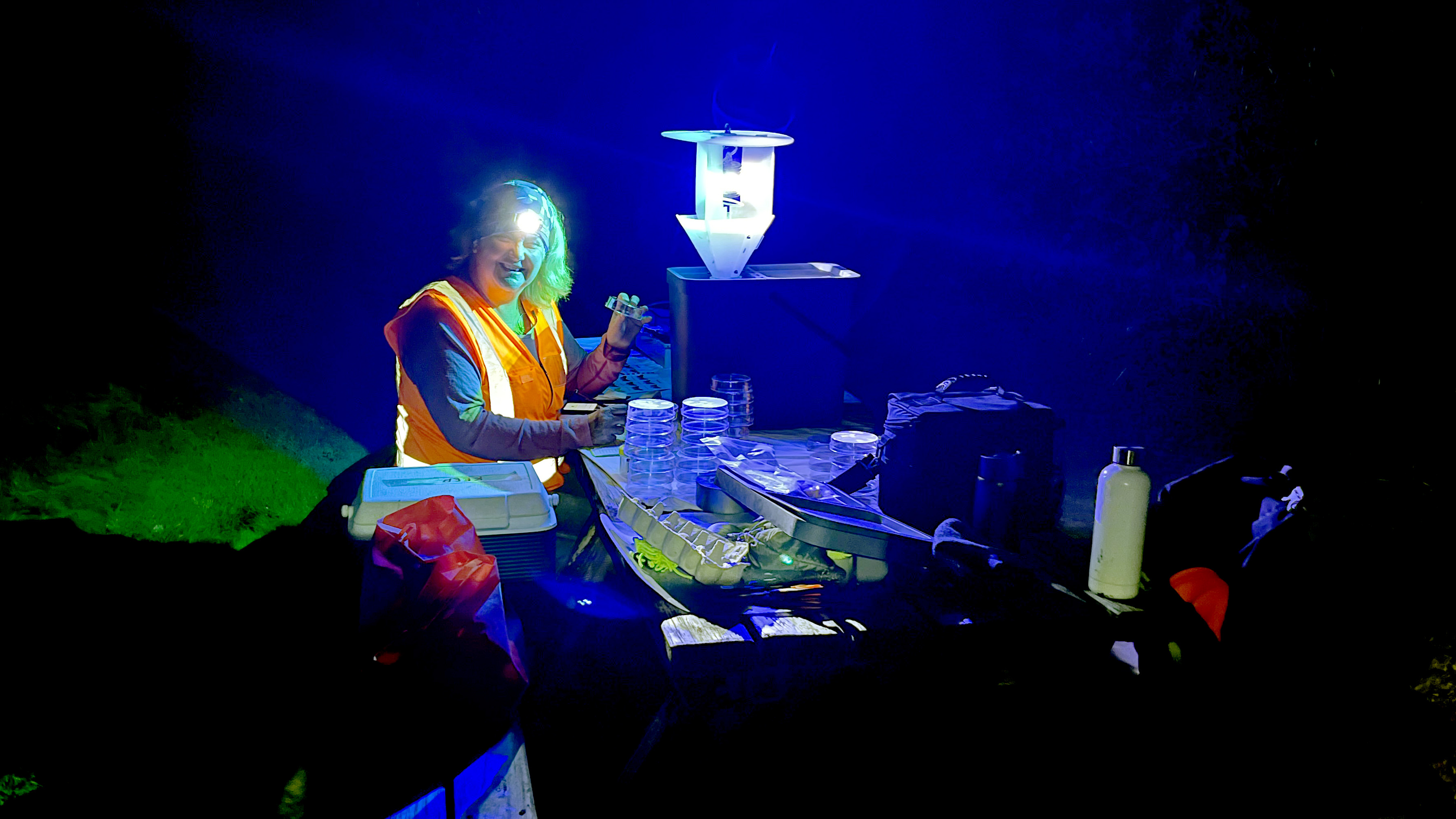 Finding a moth in a haystack - The important role of citizen scientists ...